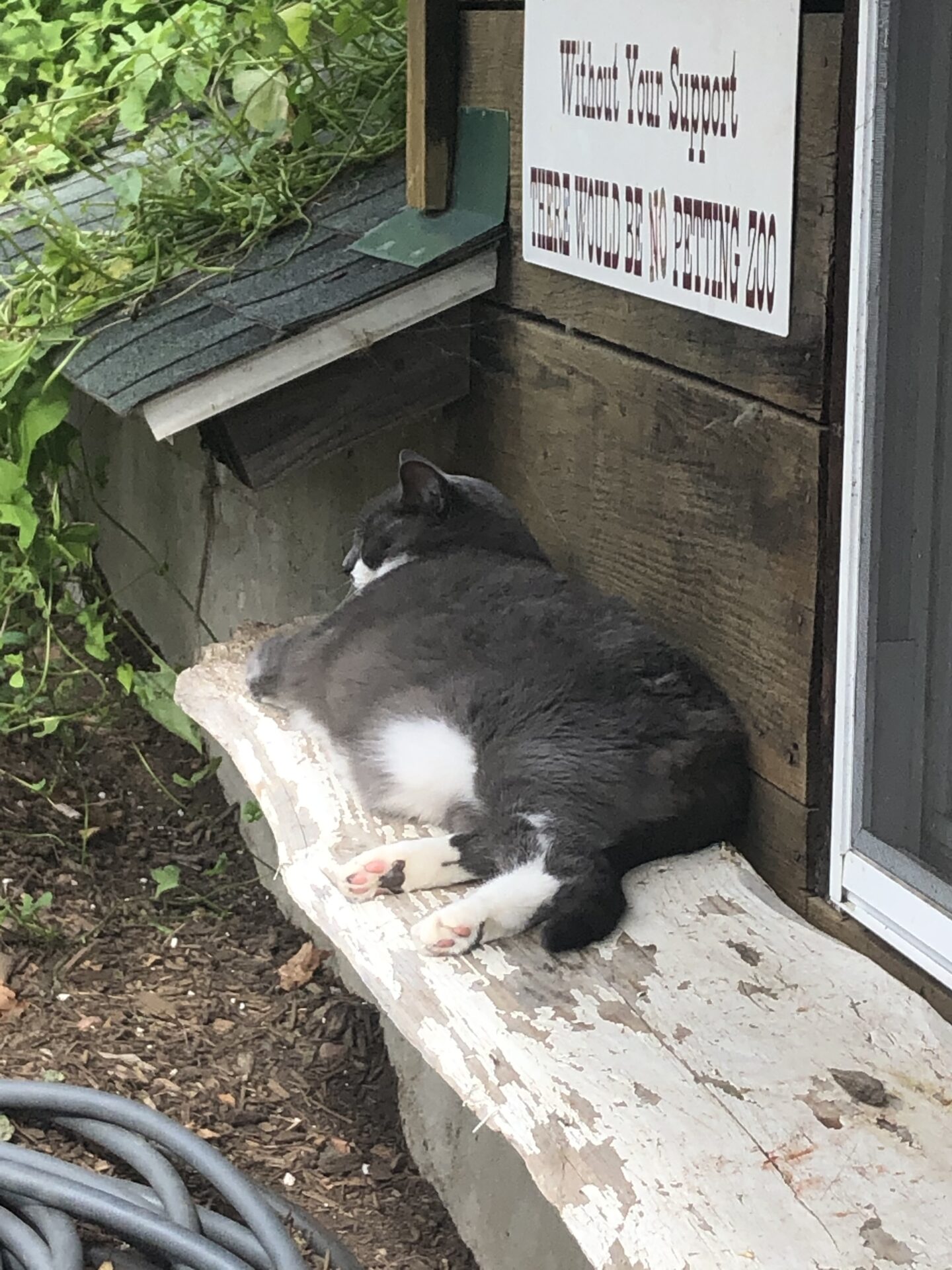 Flamig Farm in West Simsbury, CT: Petting Zoo and More - The ...