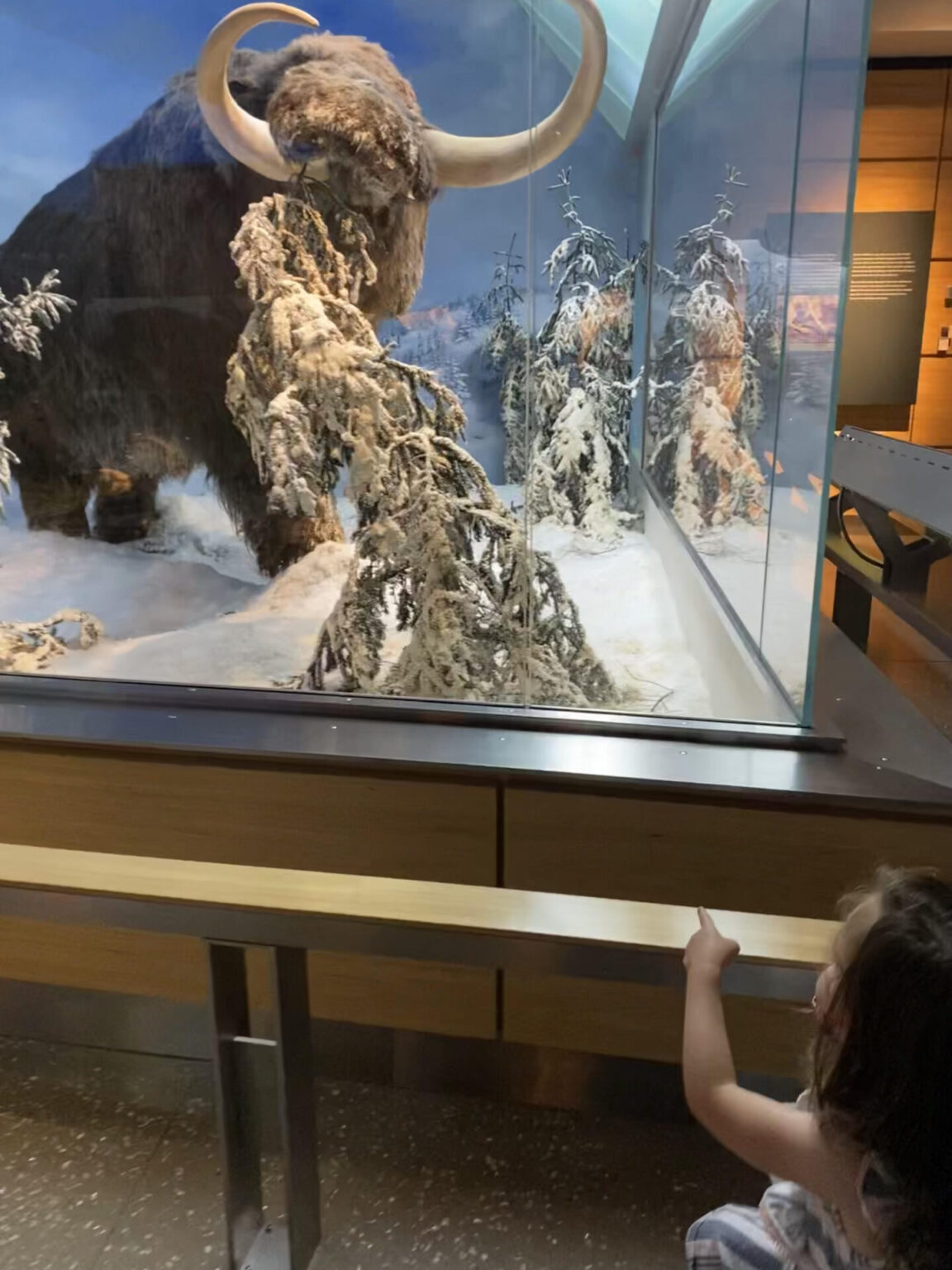 Mashantucket Pequot Museum: A Review of The World's Largest Native ...