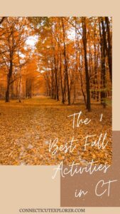 The Top 7 Fall Activities in CT to Keep you Having Fun all Year Round ...