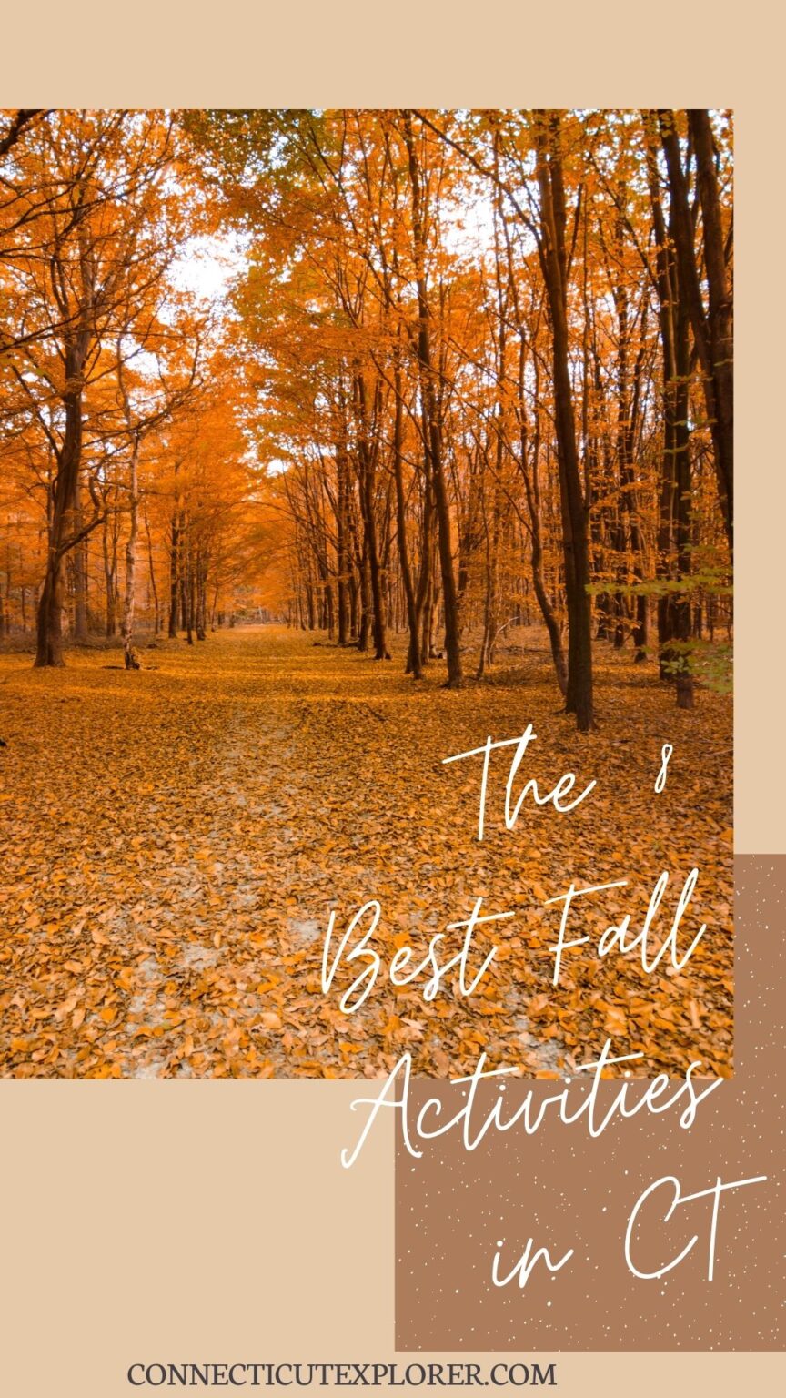 The Top 7 Fall Activities in CT to Keep you Having Fun all Year Round ...
