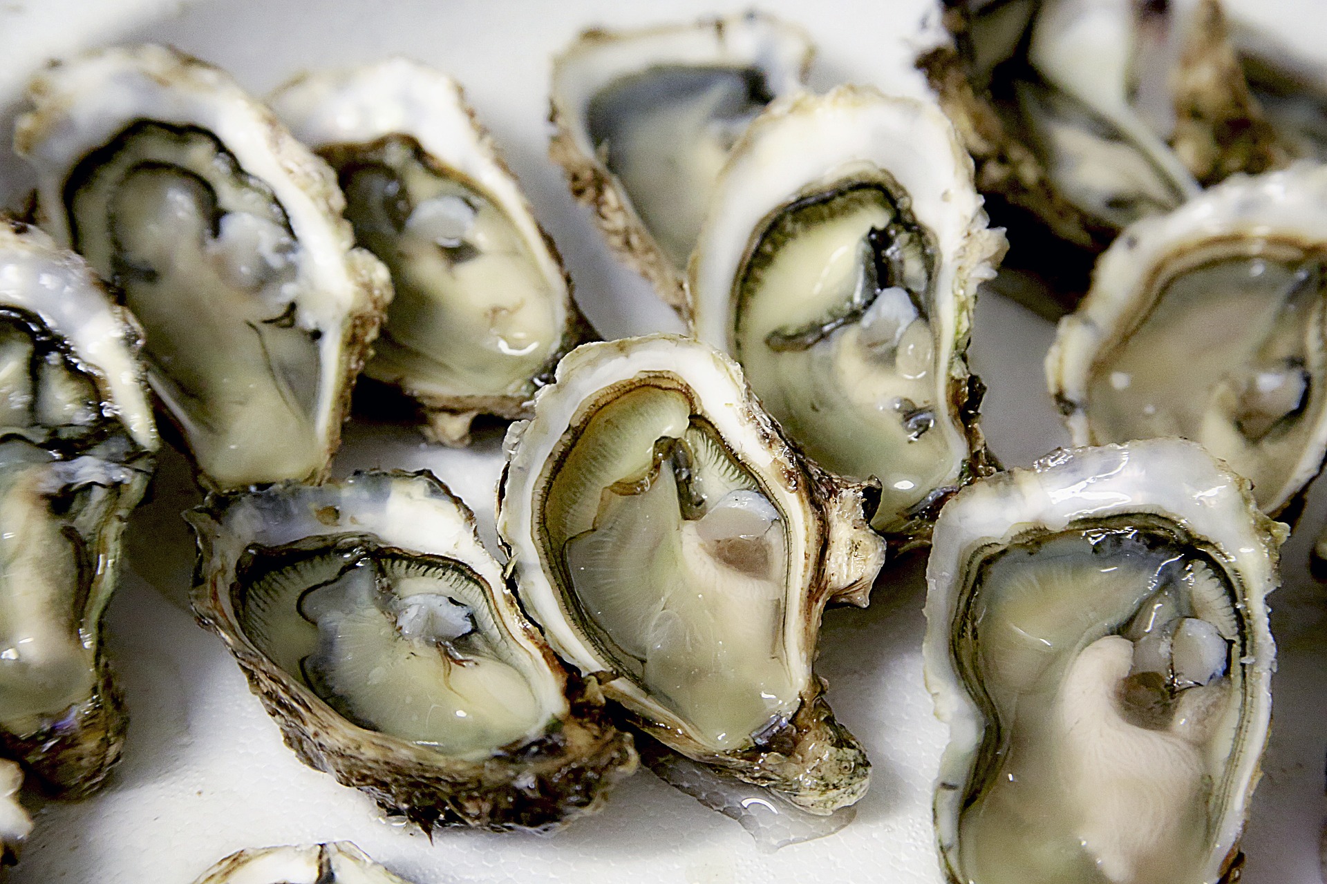 The Top 10 Restaurants for Oysters in Connecticut - The Connecticut ...