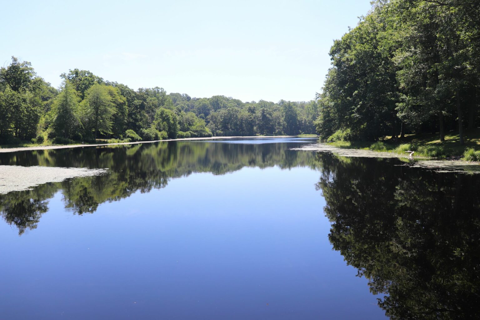 Day Pond State Park -Hiking, Swimming, Fishing, & More! - The ...