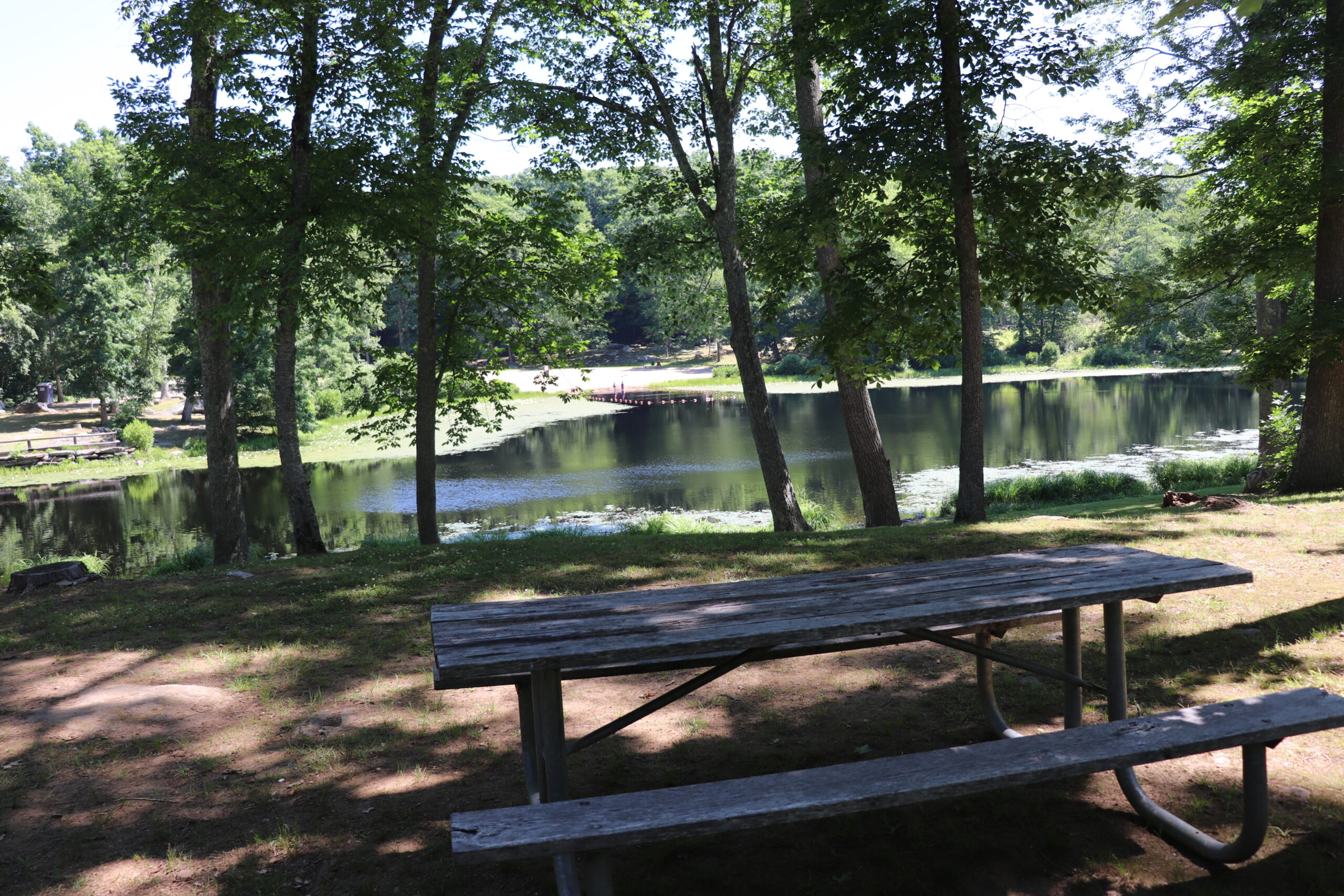 Day Pond State Park -Hiking, Swimming, Fishing, & More! - The ...