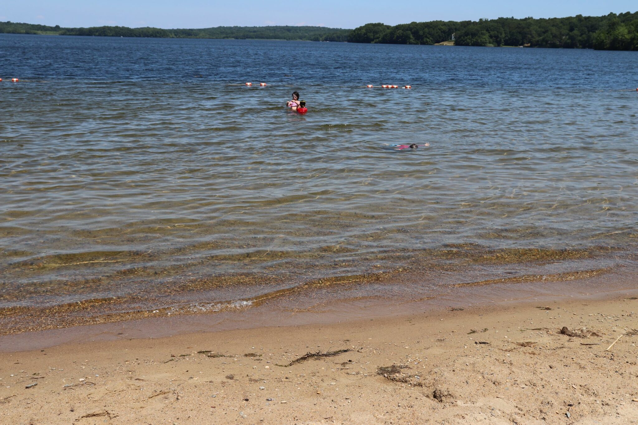 Gardner Lake in Salem CT - Boating, Swimming, and More! - The ...