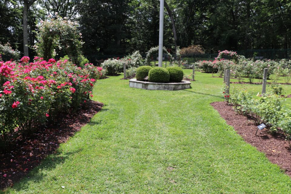 Exploring the Norwich Rose Garden in CT - The Connecticut Explorer