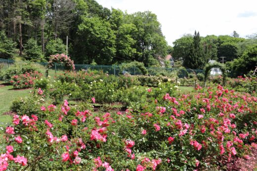 14 Fun Things to Do in CT for Adults in 2025 - The Connecticut Explorer