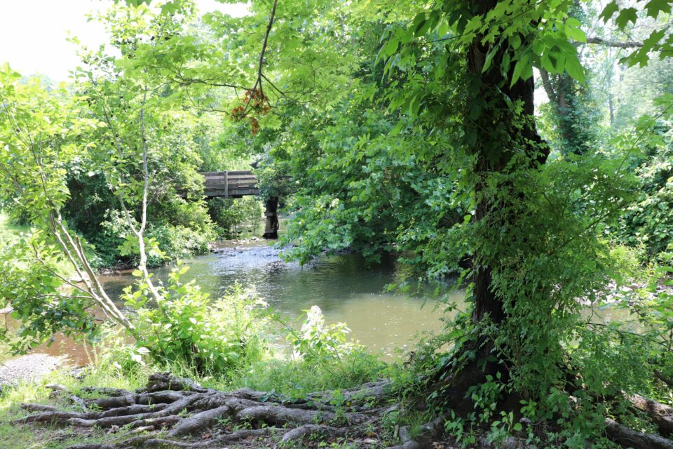 Your Guide to Wadsworth Falls State Park in Middletown CT - The ...