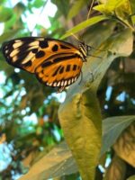 The Connecticut Science Center: Complete Visitors Guide - The ...