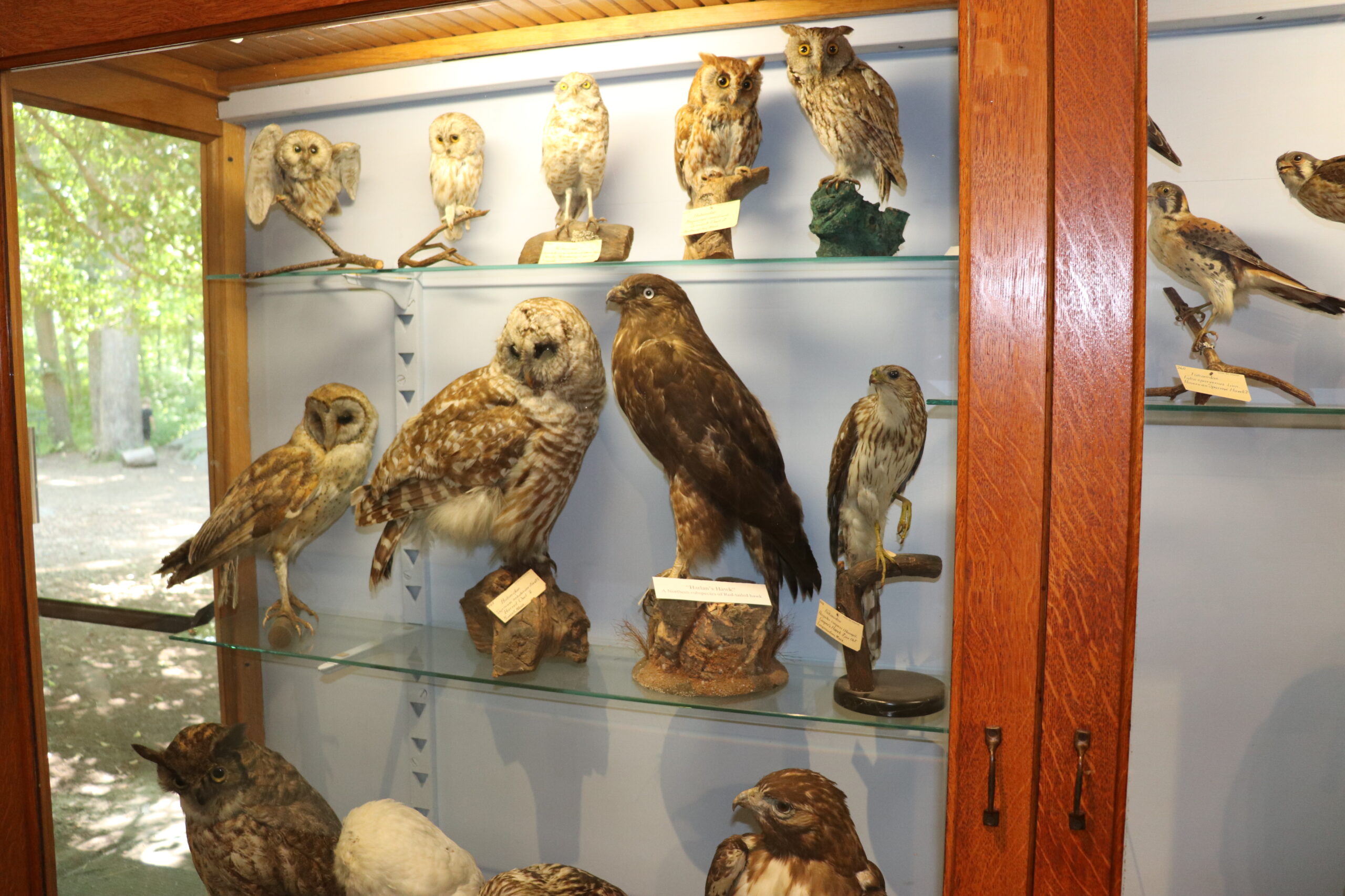 Your Visitors Guide to the Denison Pequotsepos Nature Center in Mystic ...