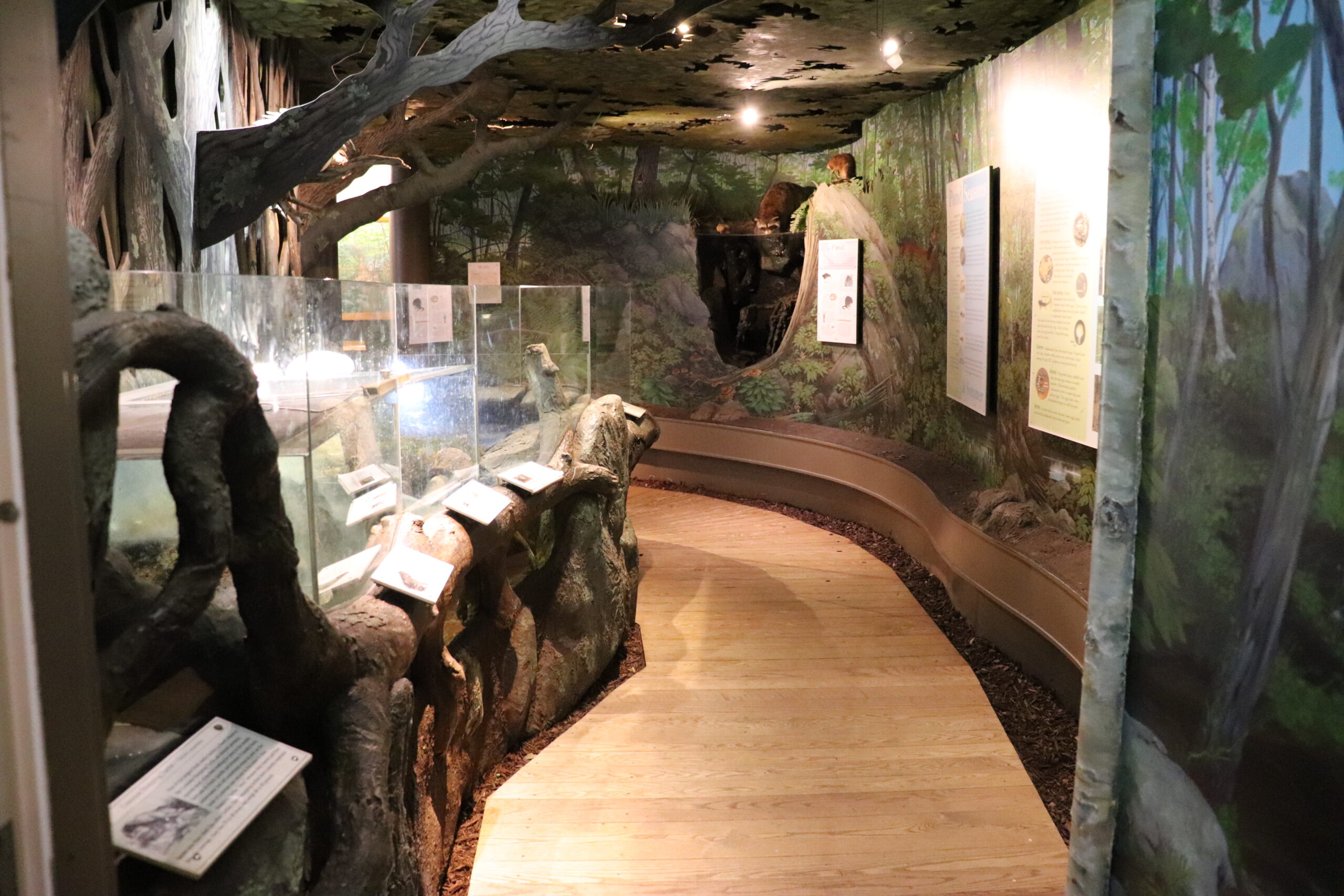 Your Visitors Guide to the Denison Pequotsepos Nature Center in Mystic ...