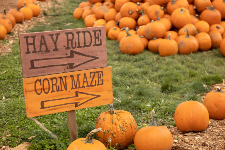 12 Awesome Corn Mazes in CT for 2023 - The Connecticut Explorer